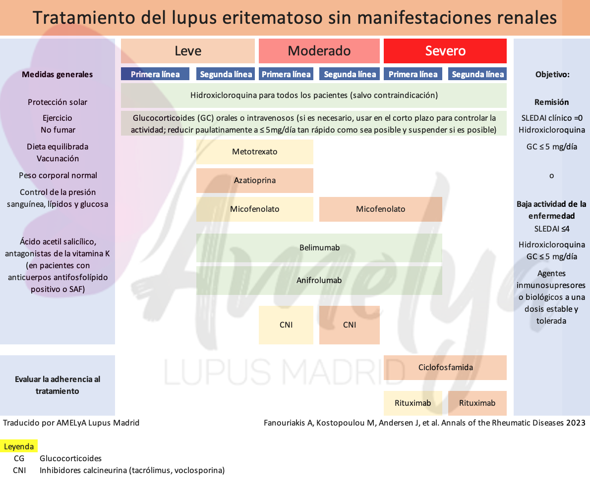 Recomendaciones EULAR para el manejo del lupus eritematoso sistémico